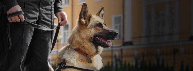 Security Guard Company In UK | Security Service Specialists