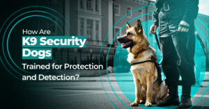 K9 Security Services | Expert K9 Security Dogs in UK